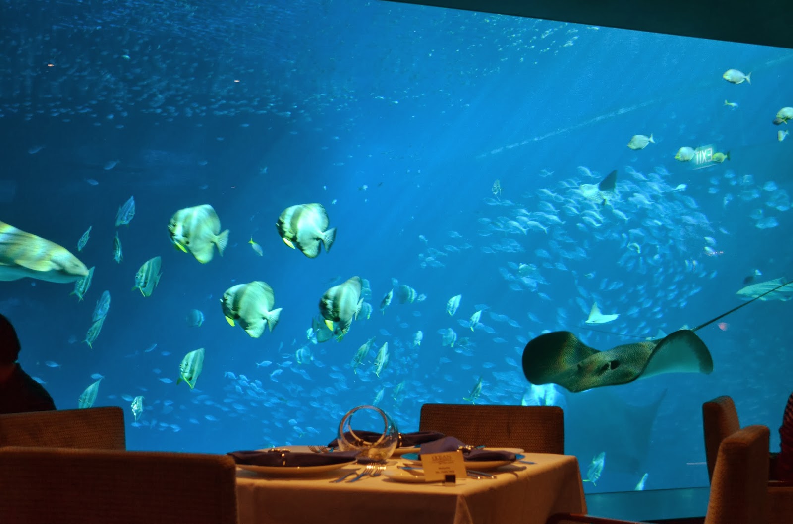 The Maritime Experiential Museum and S.E.A. Aquarium + Ocean Restuarant ...