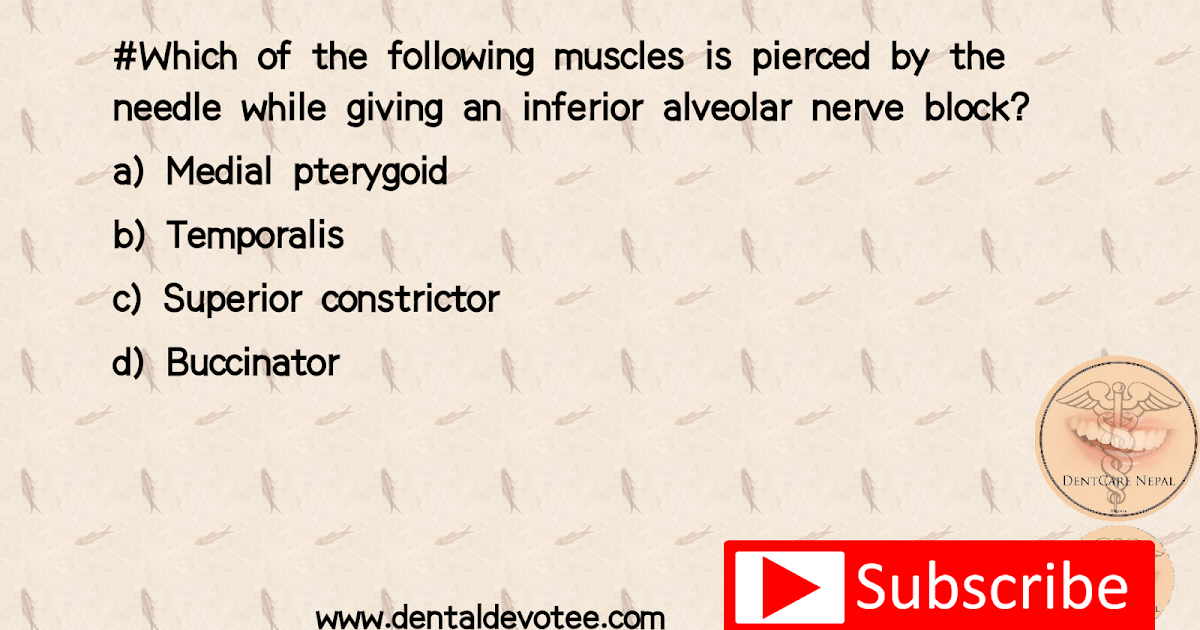 Dentosphere : World of Dentistry: Muscle pierced while giving IANB