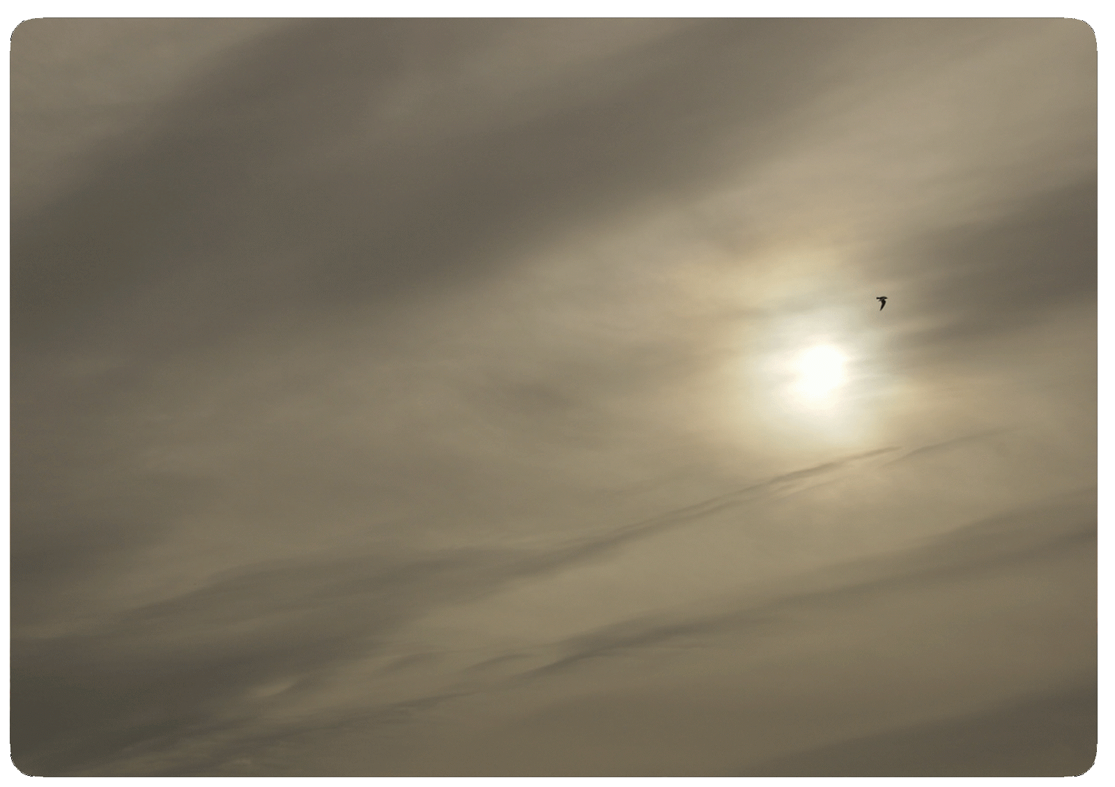 Les nuages: Les diffèrentes formes de nuages