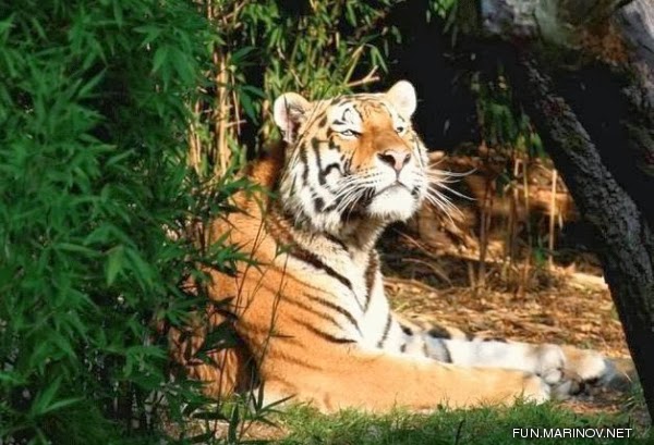 divi zivotni: September 2013