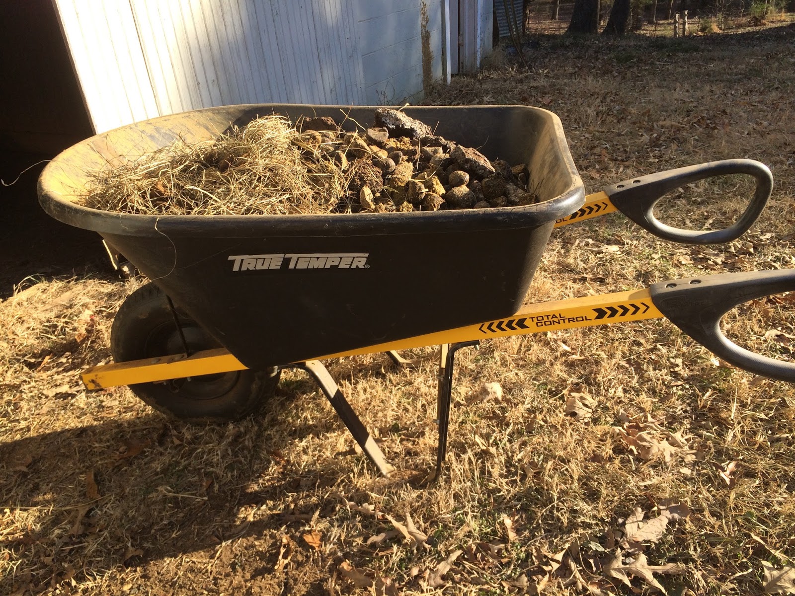 Lines from Leanna: The Importance of Mucking Out the Stalls