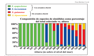 TRANSMISIÓN: Patógeno-Parásito, Vector, Reservorio, Hospederos y ...