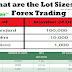 What are Lots in Forex and How do you Calculate Lot Sizes-Position size ...