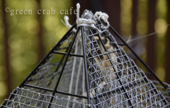 Green Crab Cafe: How to Modify a Crab Trap
