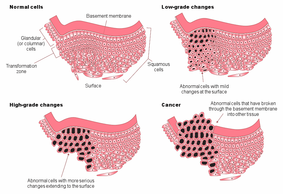 Dentistry and Medicine: February 2014
