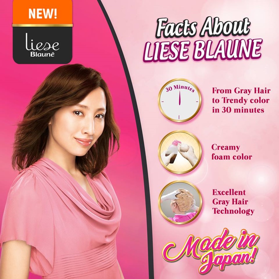 Feature: Liese Blaune DIY Color for Gray Hair | Dear Kitty Kittie Kath ...