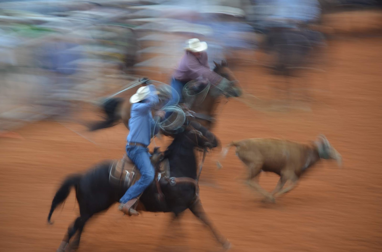 the other paper: Arcadia Rodeo Championships In Motion (Photography)