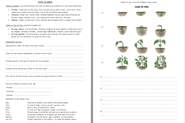Pío píos de 2ºA: 18/12/20