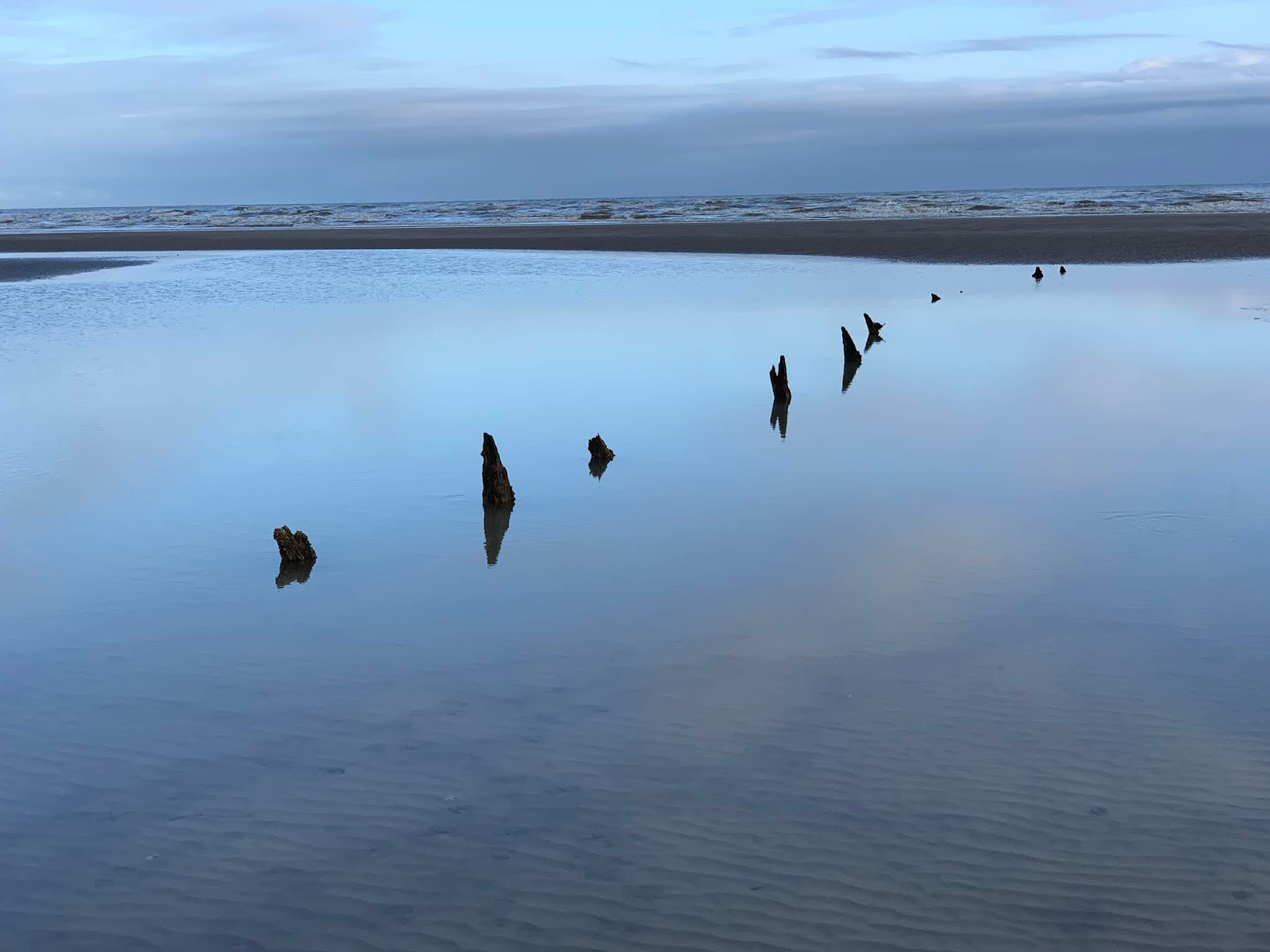 USEFUL or BEAUTIFUL: 2019