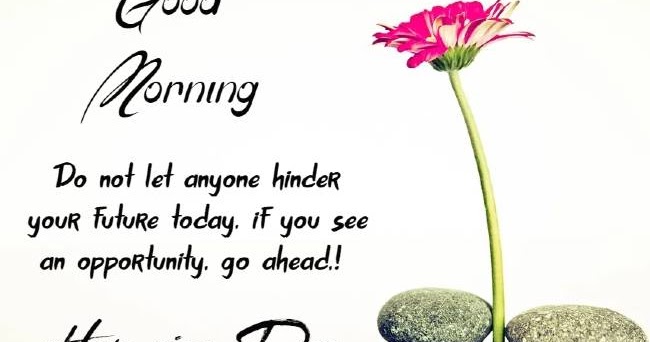 Best 50 unique Good Morning quotes for inspiration