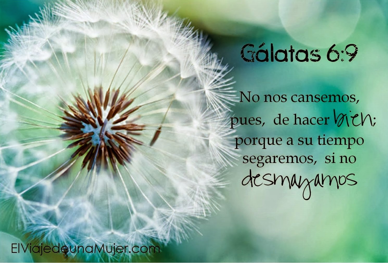 KAREN ROSALES-Escribiendo para mujeres: Haz el Bien sin Mirar a Quien