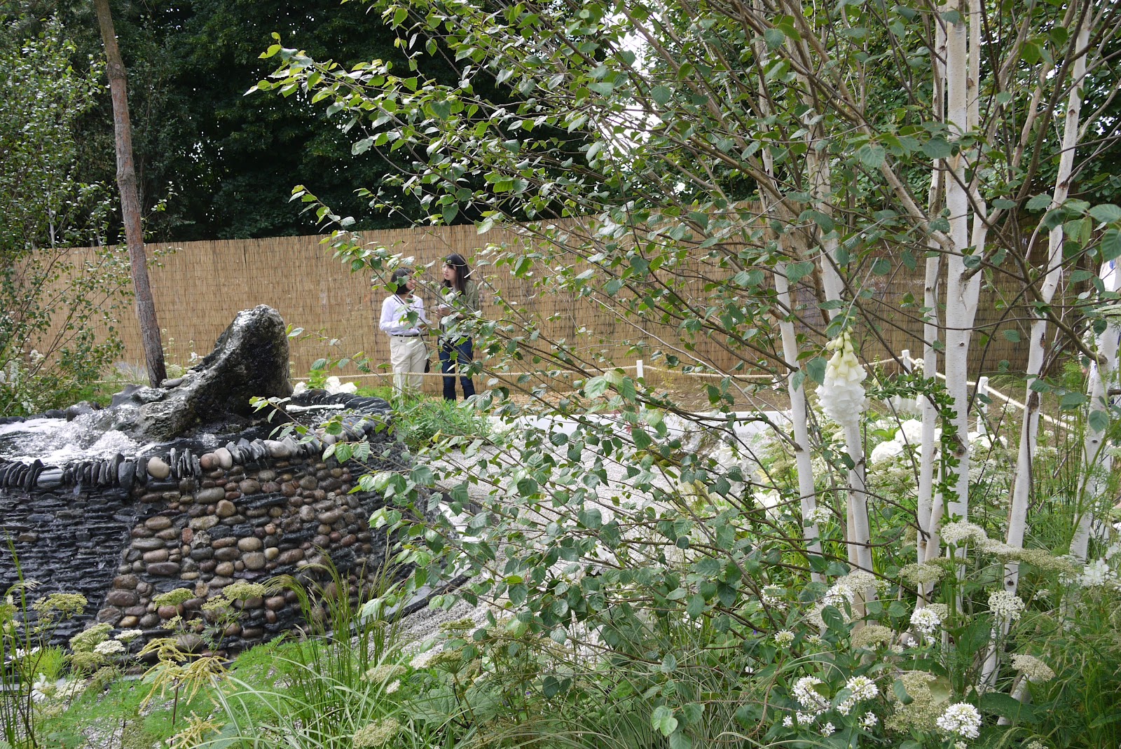 Padmayogini's Artist's Diary: Hampton Court Flower Show