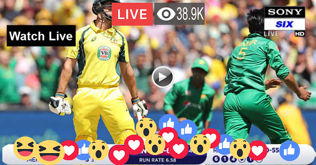 Cdn9crichdin Star Sports 1 Live Streaming T20 World