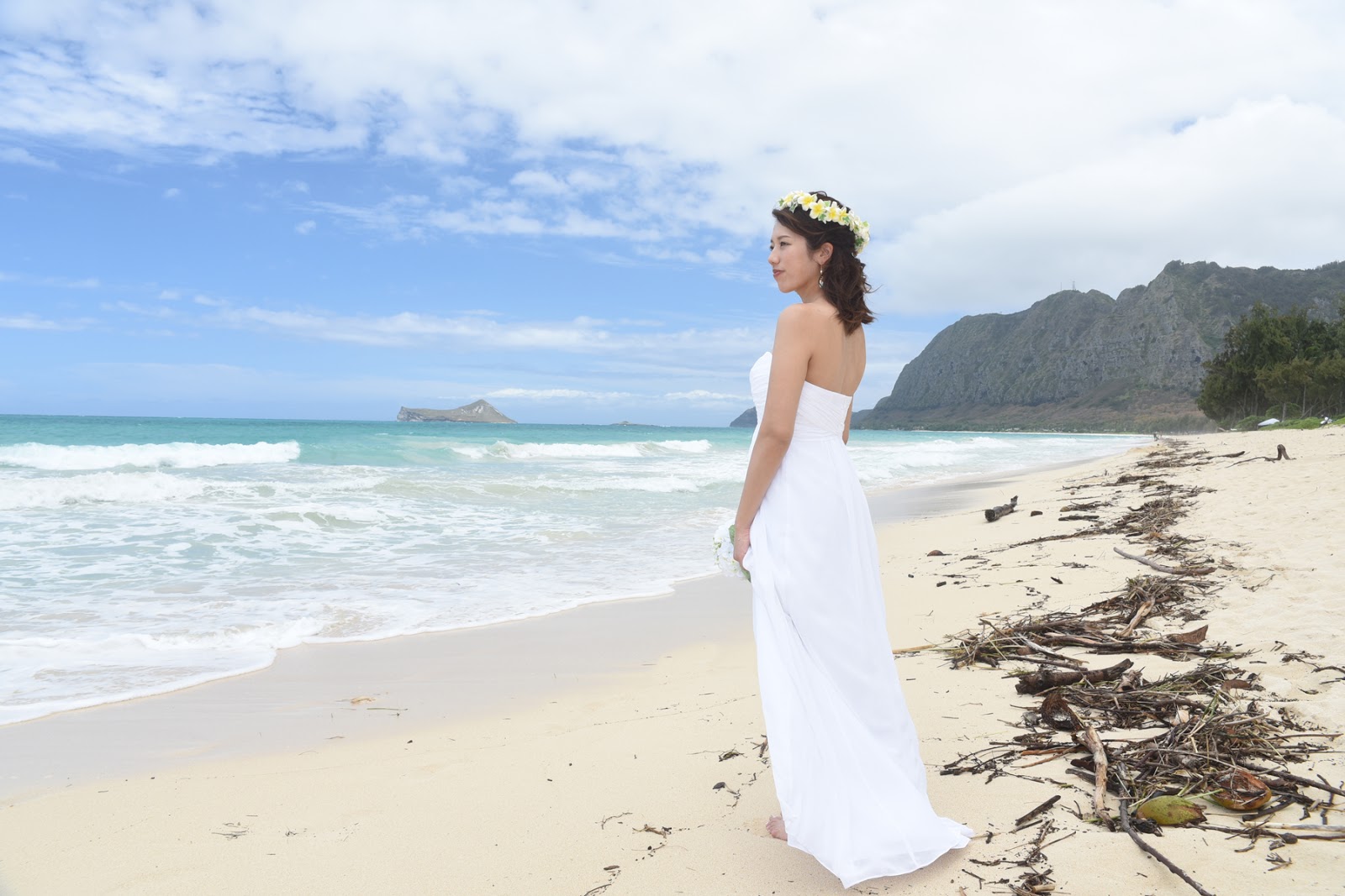 Brides of Hawaii: Brides of Hawaii: Nobumi