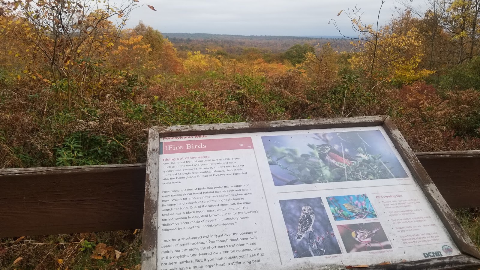 Valley Girl Views: The Eastern Side Of The Scenic Elk Tour - With Detours