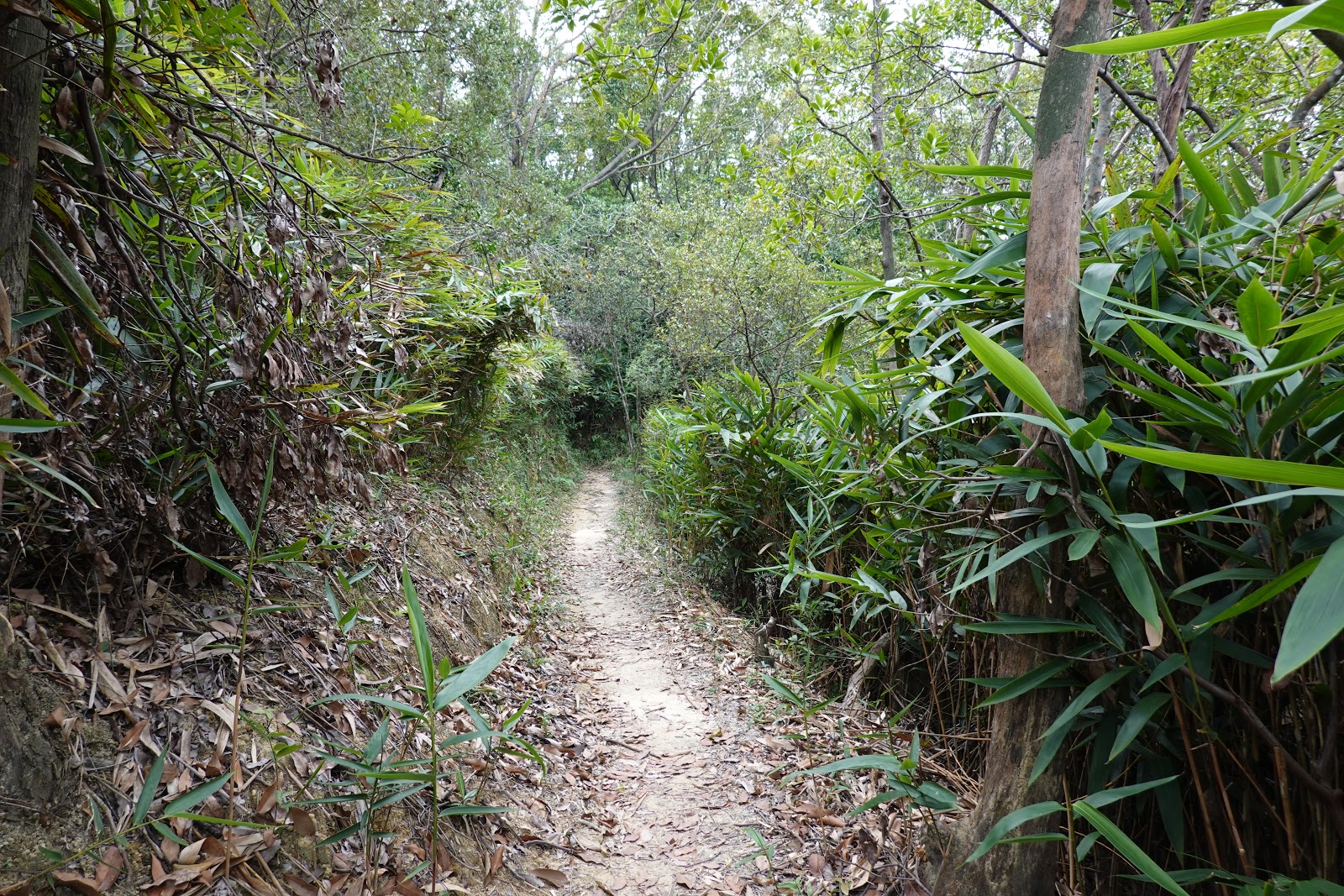 消耗五百食翻一千※香港行山記: 河背村→圓墩郊遊徑→深井 Ho Pui Village→Yuen Tun Country Trail→Sham ...