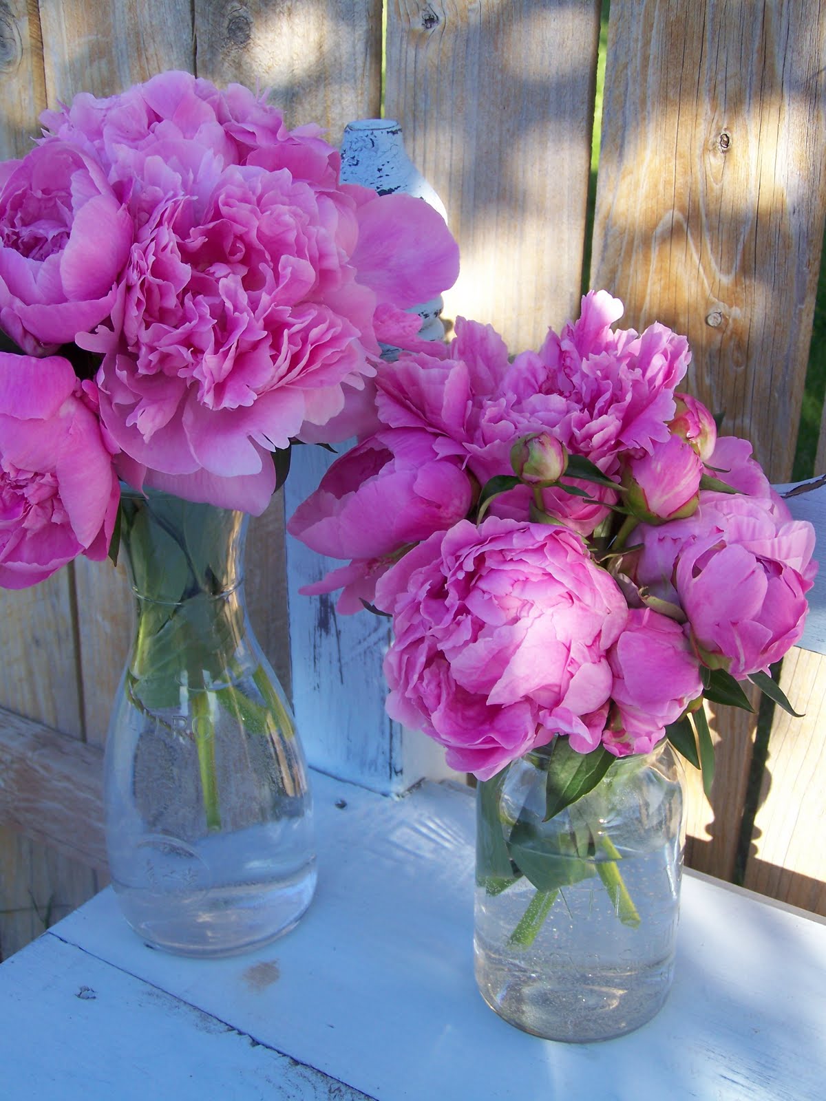 American Honey Home: Pretty Pink Peonies
