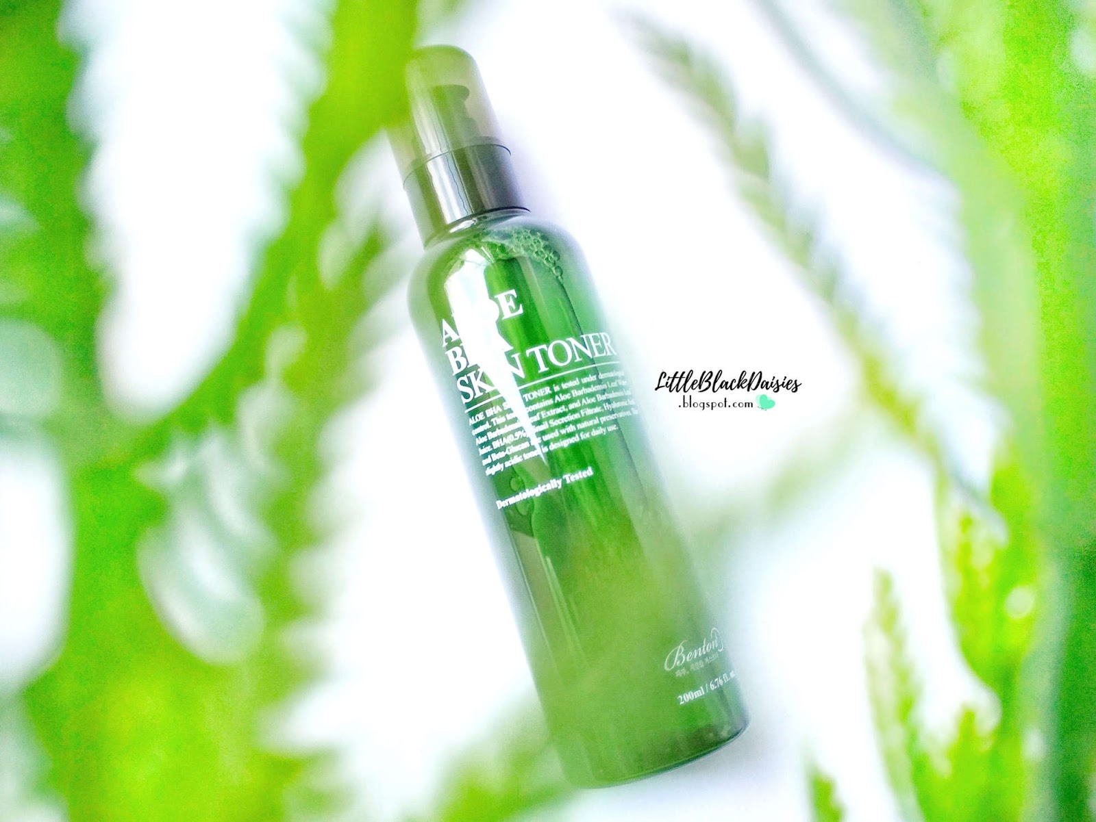 BENTON ALOE BHA SKIN TONER REVIEW - Little Black Daisies