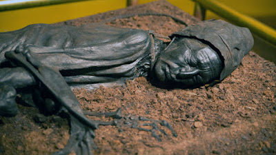 Can of Mystery: Discovery of Bog Bodies