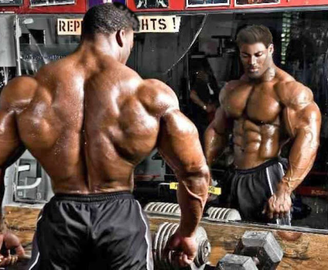 Into the Vault BUILT by tallsteve: 2017