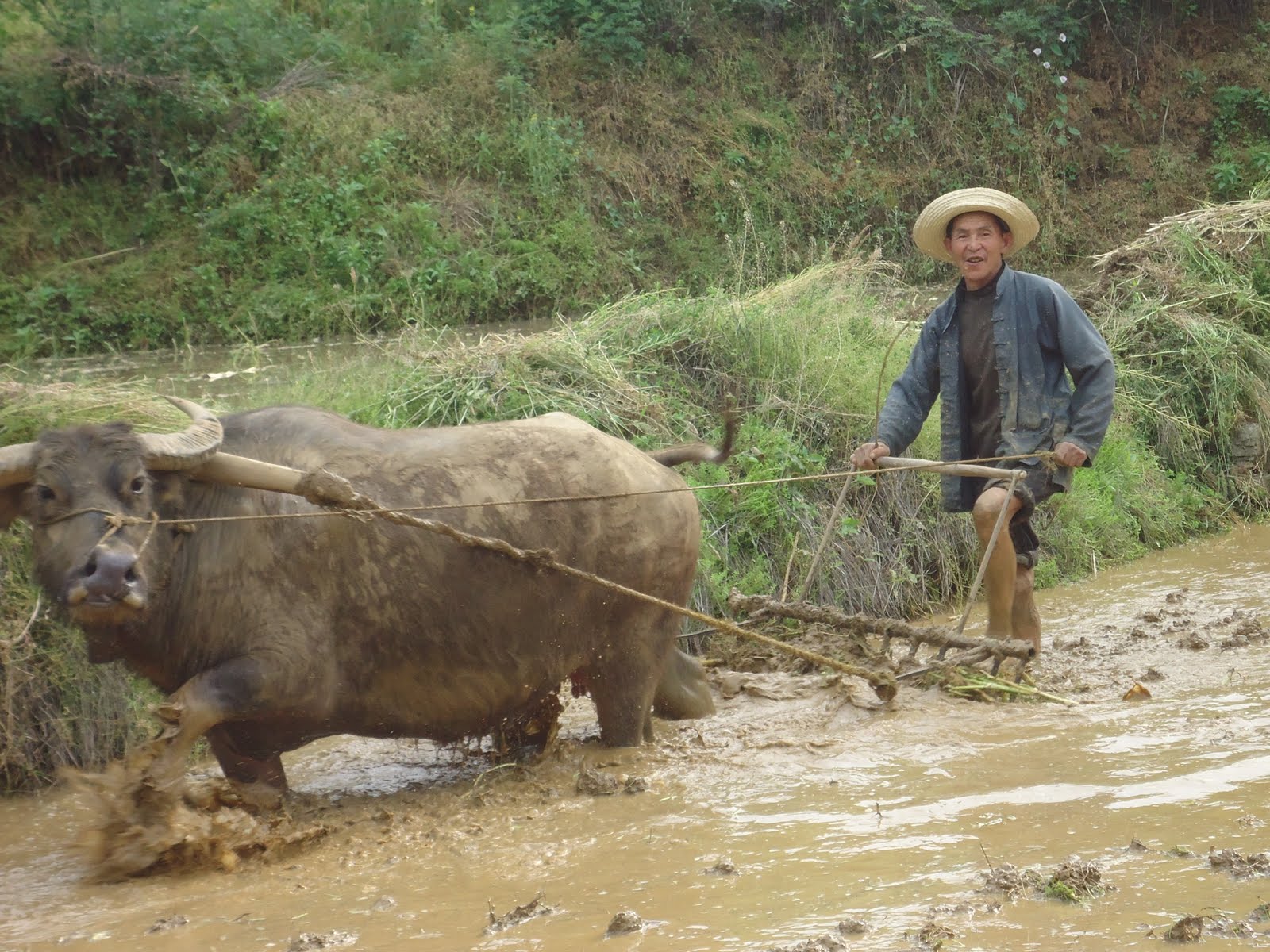Adventures in China: Chapter 30 - Farming in China