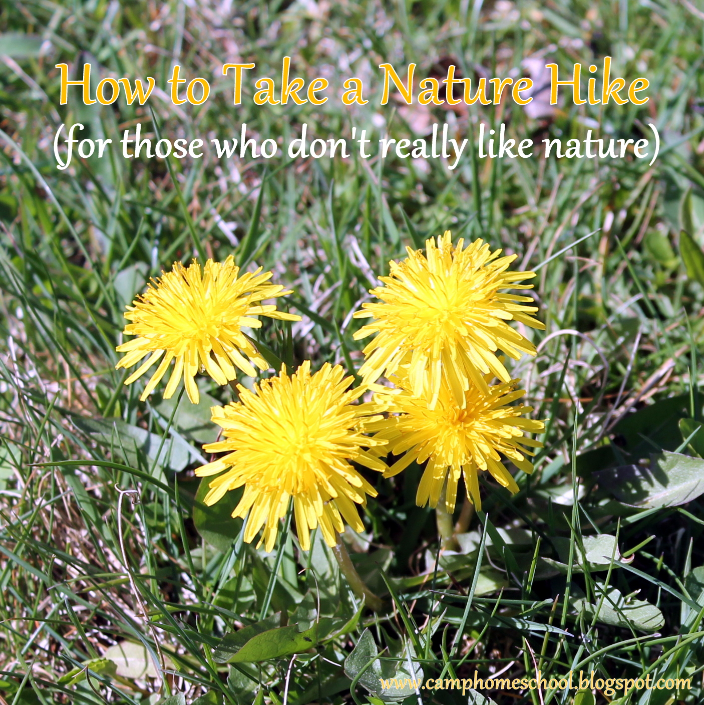 CAMP HOMESCHOOL: How to Take a Nature Hike