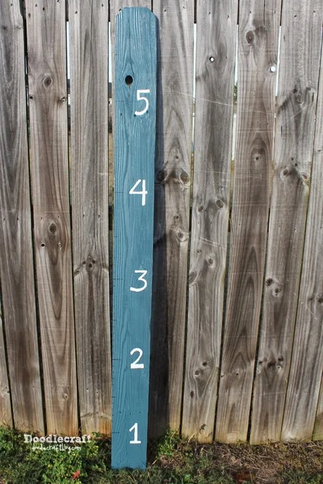 Growth Chart Ruler!