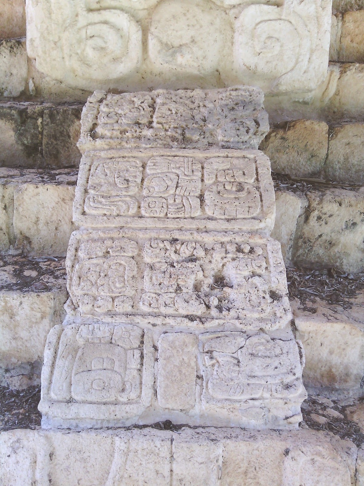 One Week in Mexico: August 16: Second Full Day in Mexico (third day ...