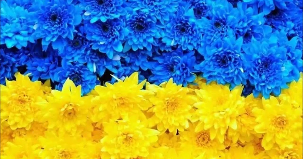 Професійний розвиток педагогів 7 музеїв України просто неба