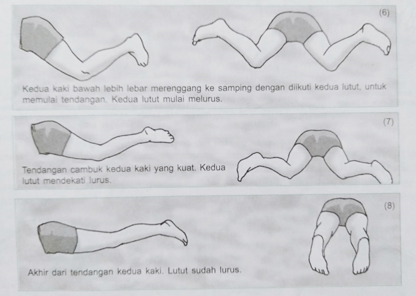 Manfaat Gerakan Kaki Dalam Renang Gaya Dada Adalah - Perumperindo.co.id Manfaat Gerakan Kaki Dalam Renang Gaya Dada Adalah - Perumperindo.co.id