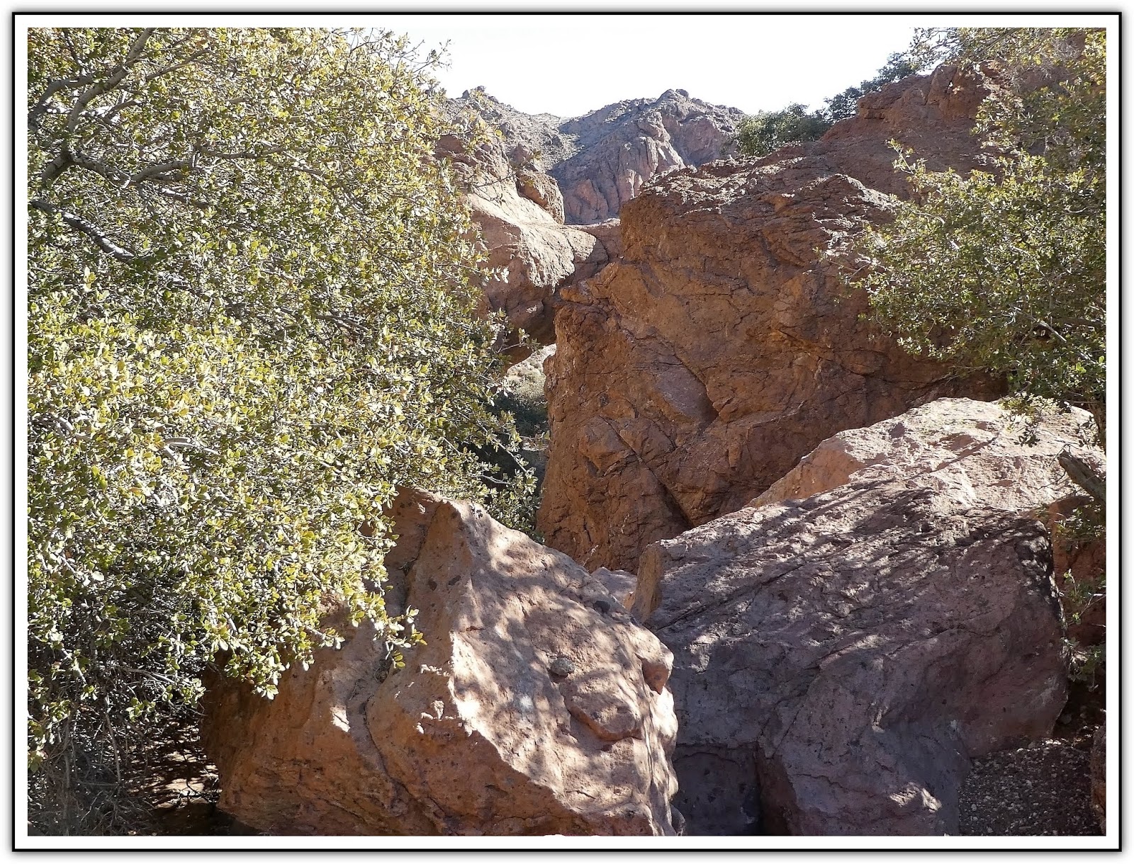 Ken's Photo Gallery: Natural Bridge & Spring