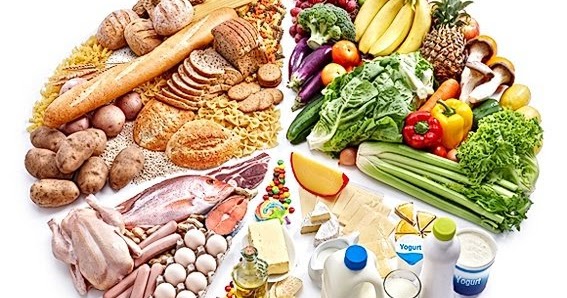 Dietas Modificadas En Macronutrientes