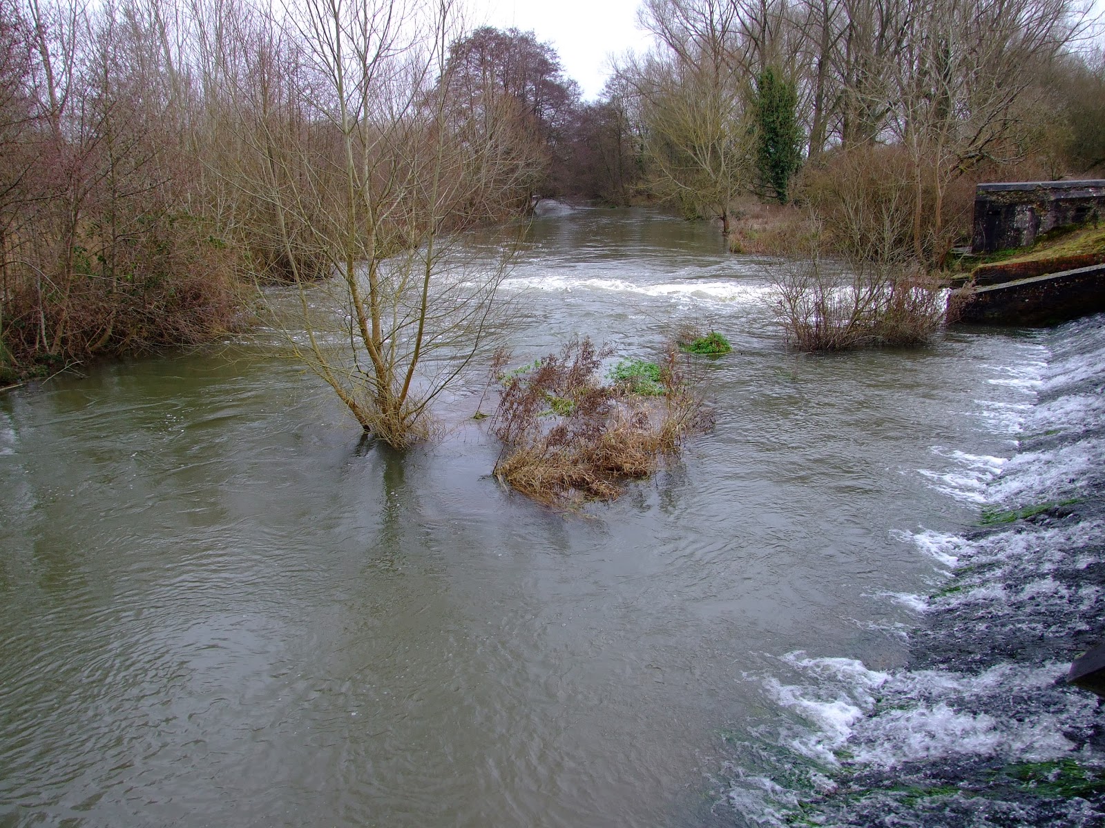 Canoeing and Kayaking on The River Kennet: Water levels up and down the ...