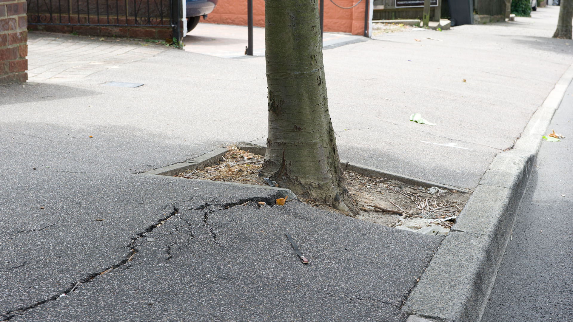 Biokipos: Discussing the Basics of Root Management- Συζητώντας τα ...