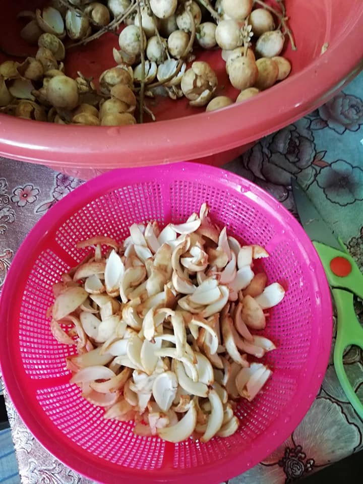 Food, Lifestyle, Education, Parenting, DIY | CaraResepi