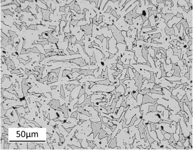 Il cerchio azimutale