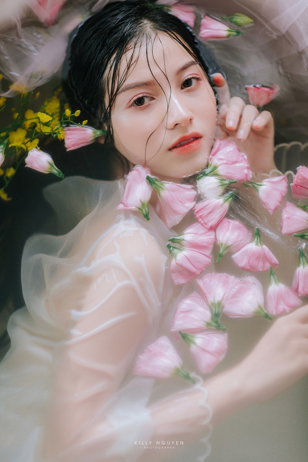 Phạm Khánh Linh, - 📖