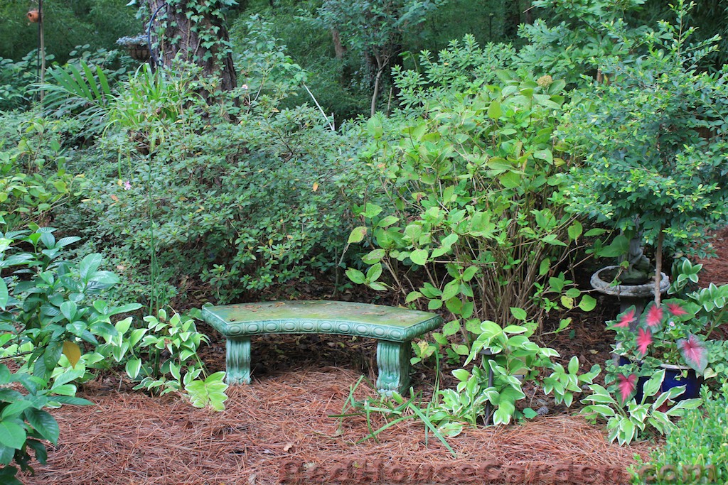 Red House Garden: The Freeman/Byrd Garden