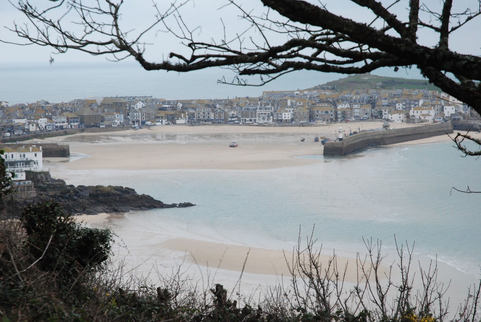 ParaChoo: February 2011