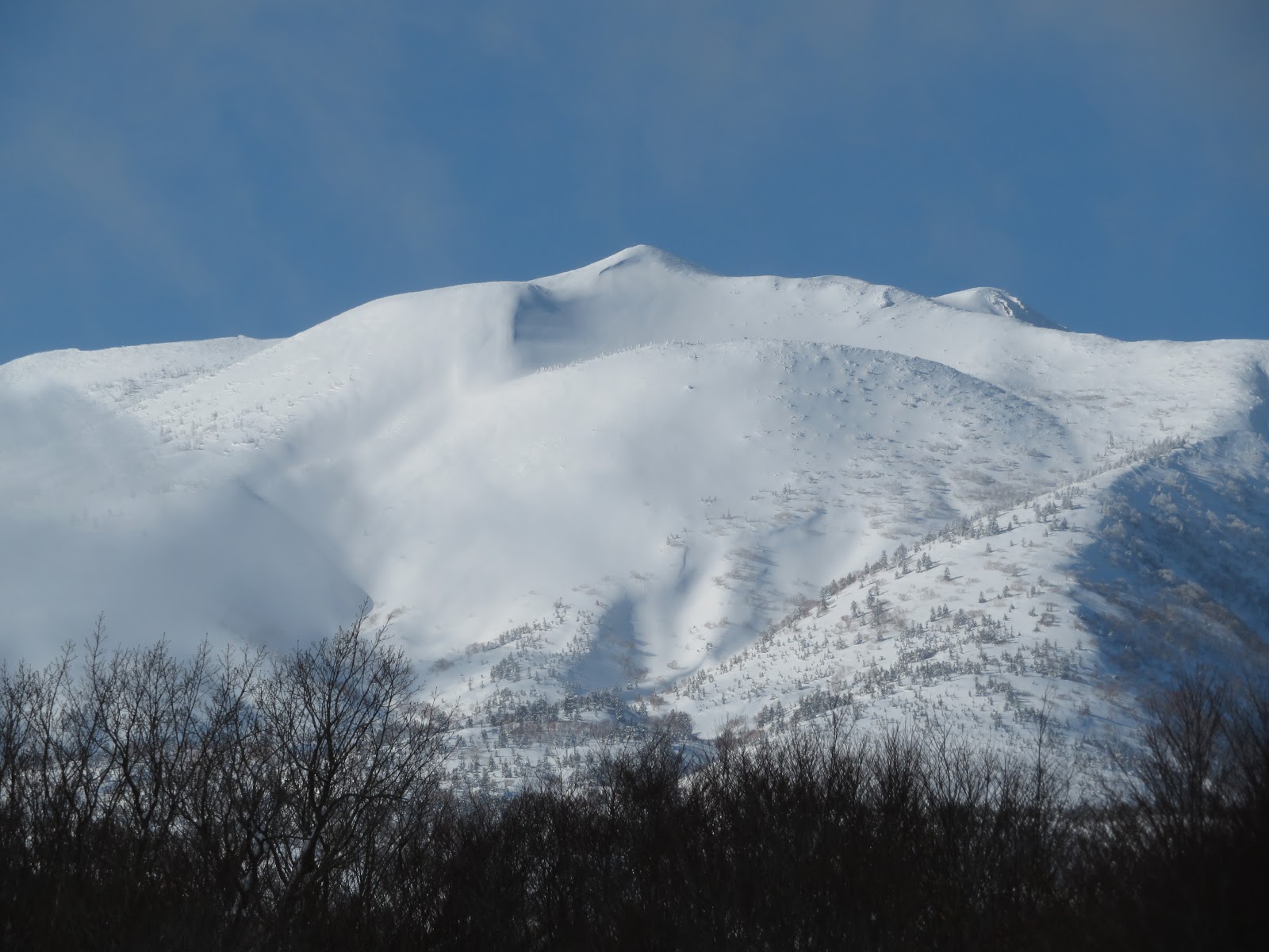 箒場便り: 箒場で初詣