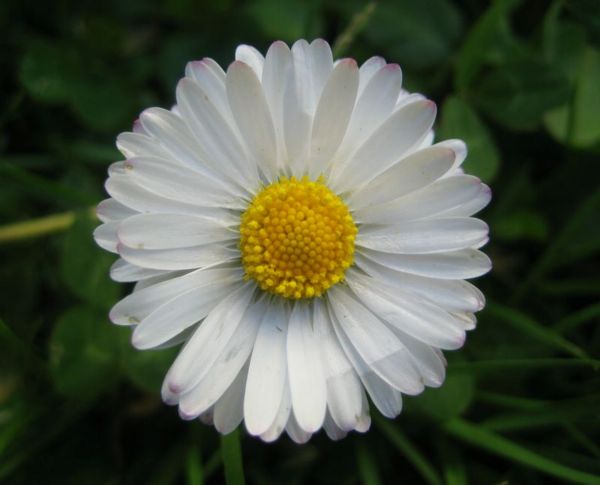 Nothingandall: 2013/04 - 2013/05