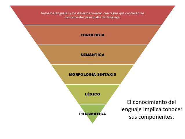 LENGUA CASTELLANA SEXTO: EL LENGUAJE Y SUS COMPONENTES