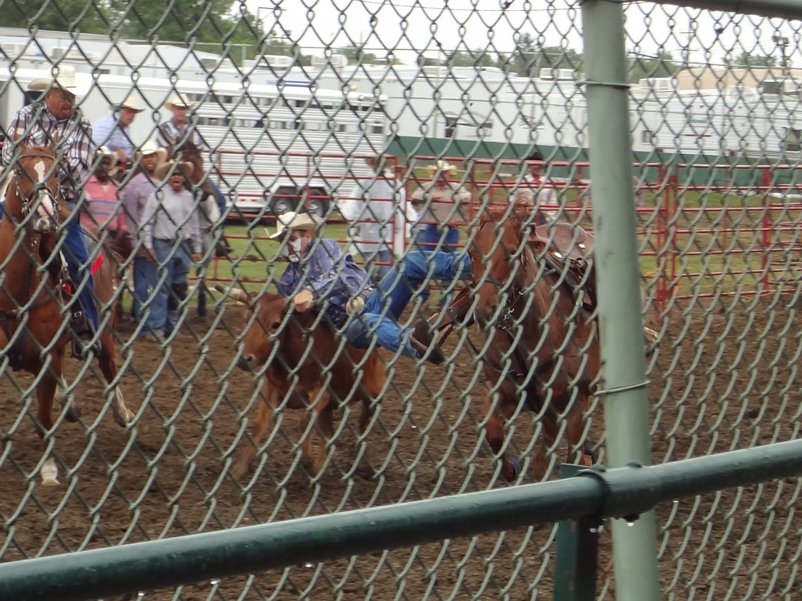 Photography, is love.: Rodeo, stupid fence.