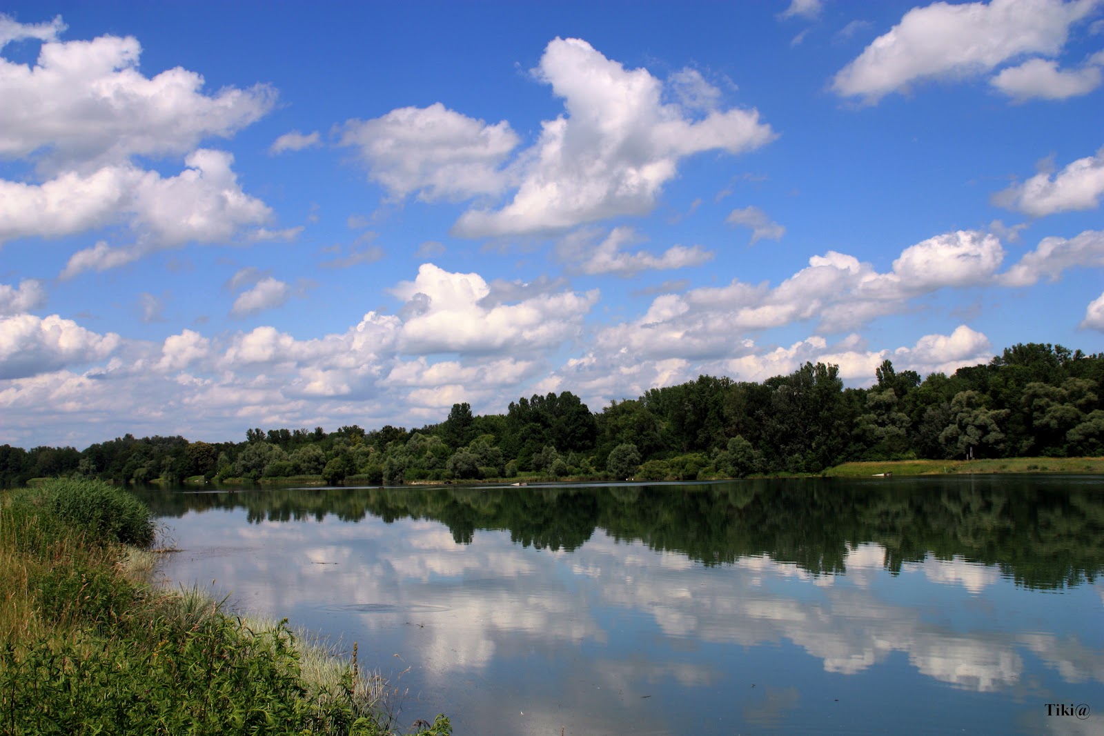 L'île de Rhinau, une petite jungle rhénane l’île vous invite à la ...