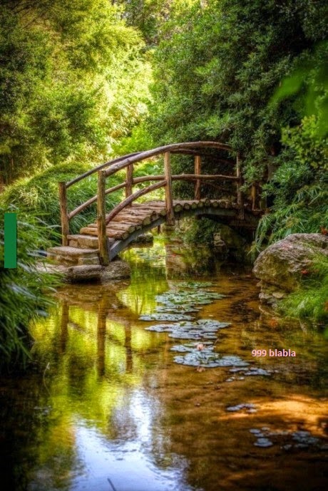 Peisazh pranveror - 999 blabla