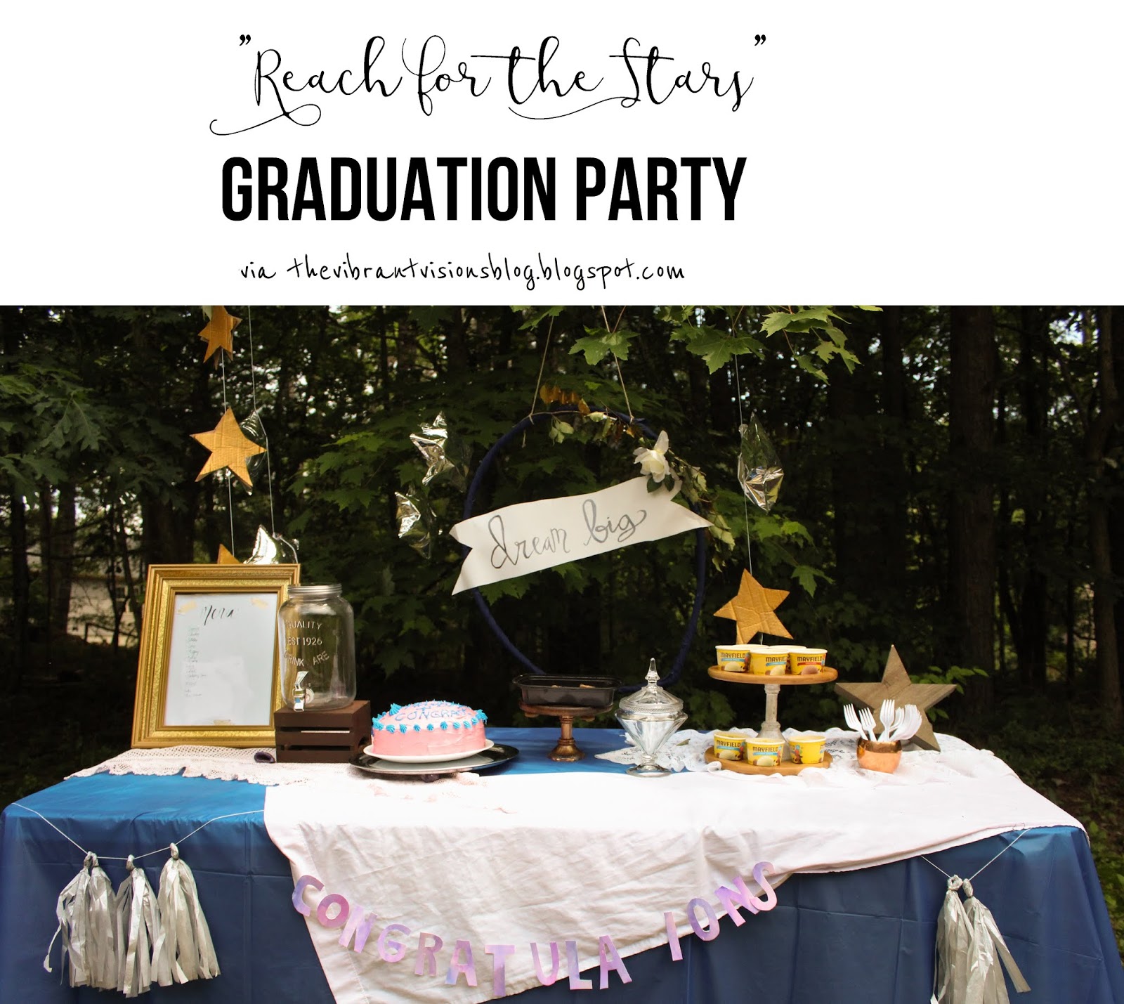 the Vibrant Visions blog: "Reach for the Stars" Graduation Party