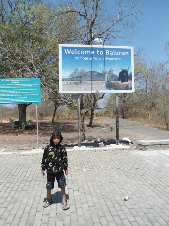 Discovery Banyuwangi: Wisata Alas Baluran Banyuwangi-Foto