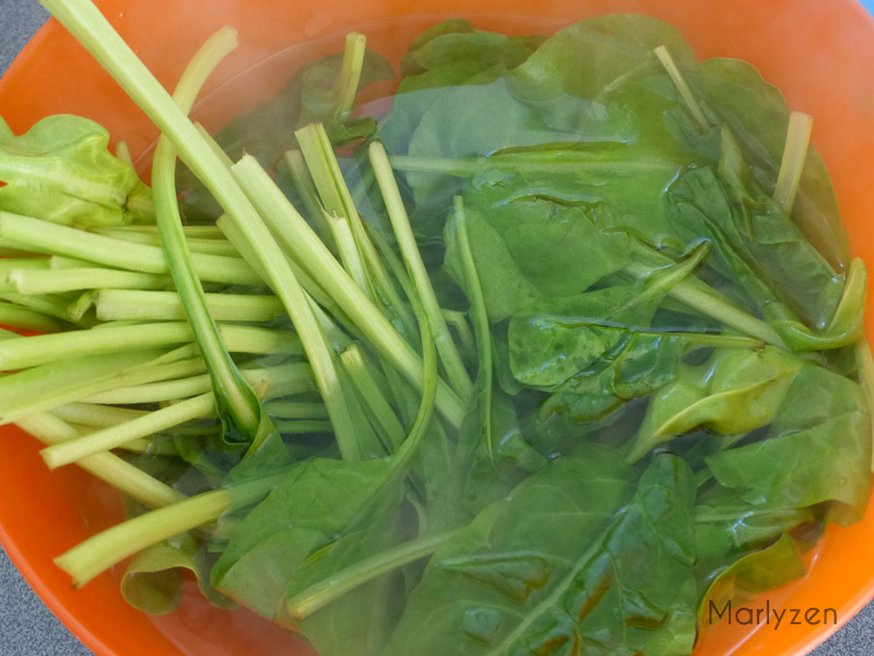 Feuilles de blettes farcies | Marlyzen, cuisine revisitée