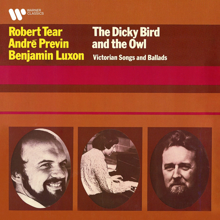 The Dicky Bird & The Owl