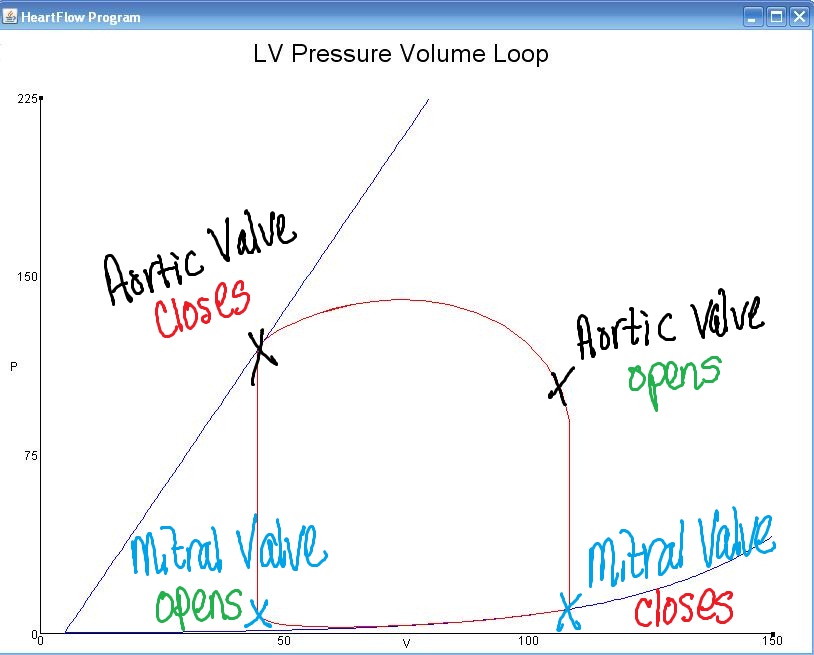 95% of What You Teach: Pressure-Volume Loops
